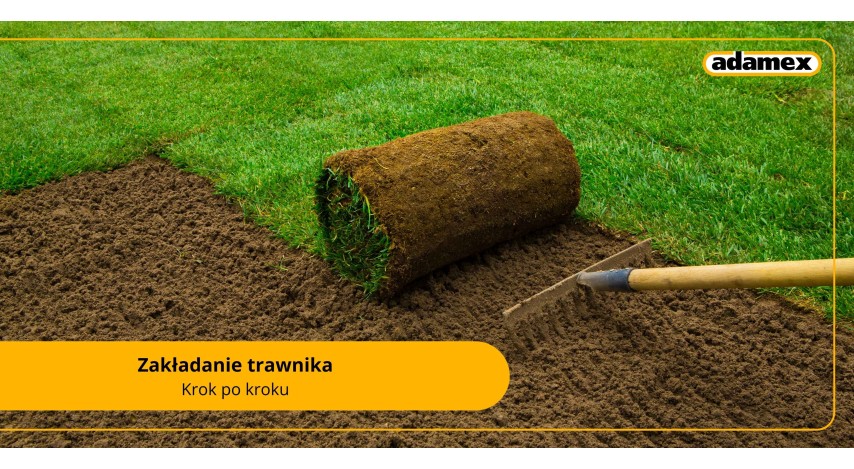 Zakładanie trawnika krok po kroku – jak przygotować ziemię i uzyskać piękny efekt?